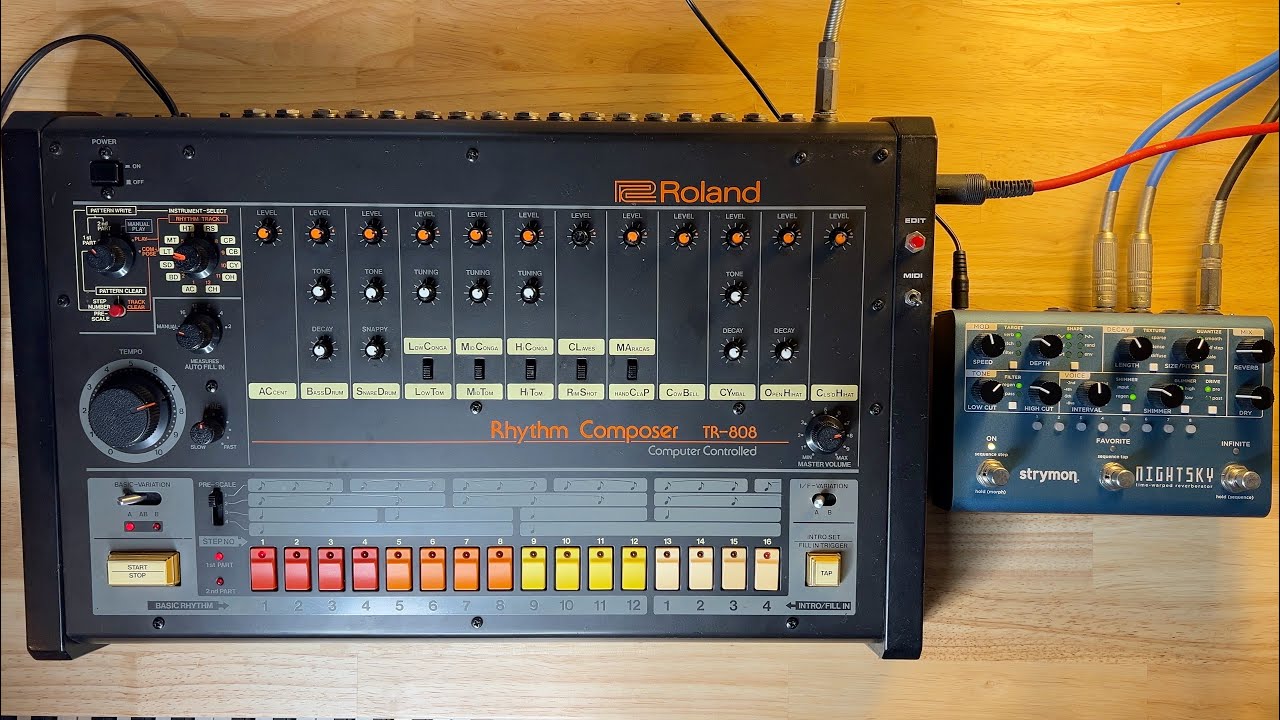 Playing Beat w/ TR-808, Moog One, Prophet-10 | Rotten 2024-12-06 by ...