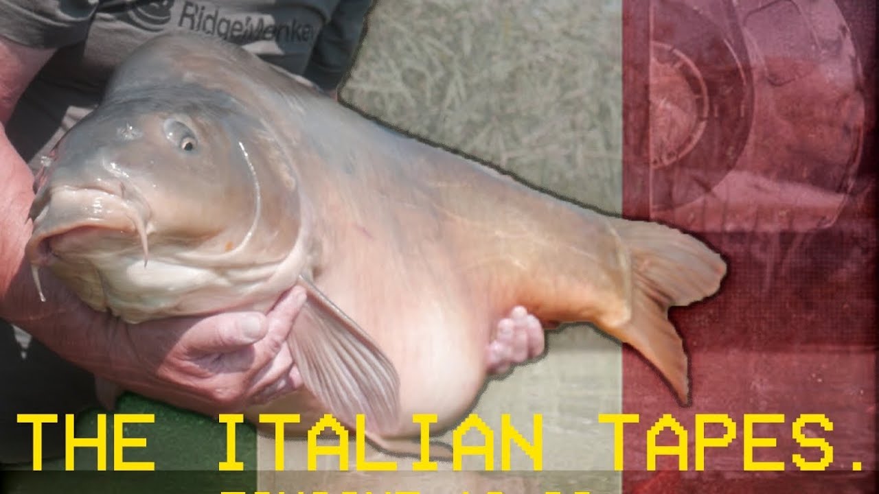 PARCO DEL BRENTA | RIDGEMONKEY'S JAY CATER & BEN WHITWELL - YouTube