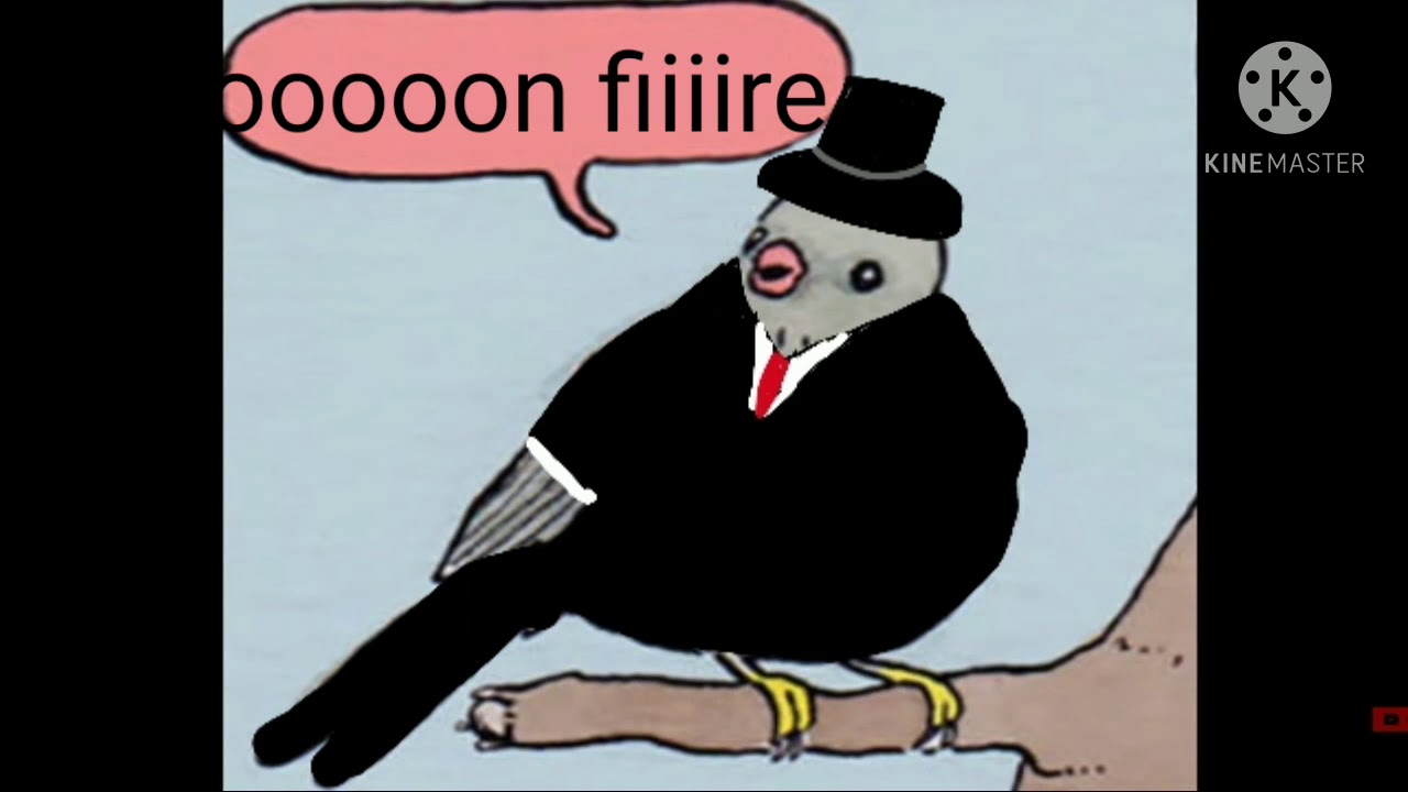 Zirytowany ptak meme.mp3 - YouTube