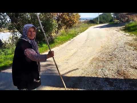 ACİL !!? GİZLİ!? GÖZ KURULUĞUNA ÇOK FAYDALI 💯 BAHÇE SEFASI BACILARIM GARDAŞ LARİM 🥰