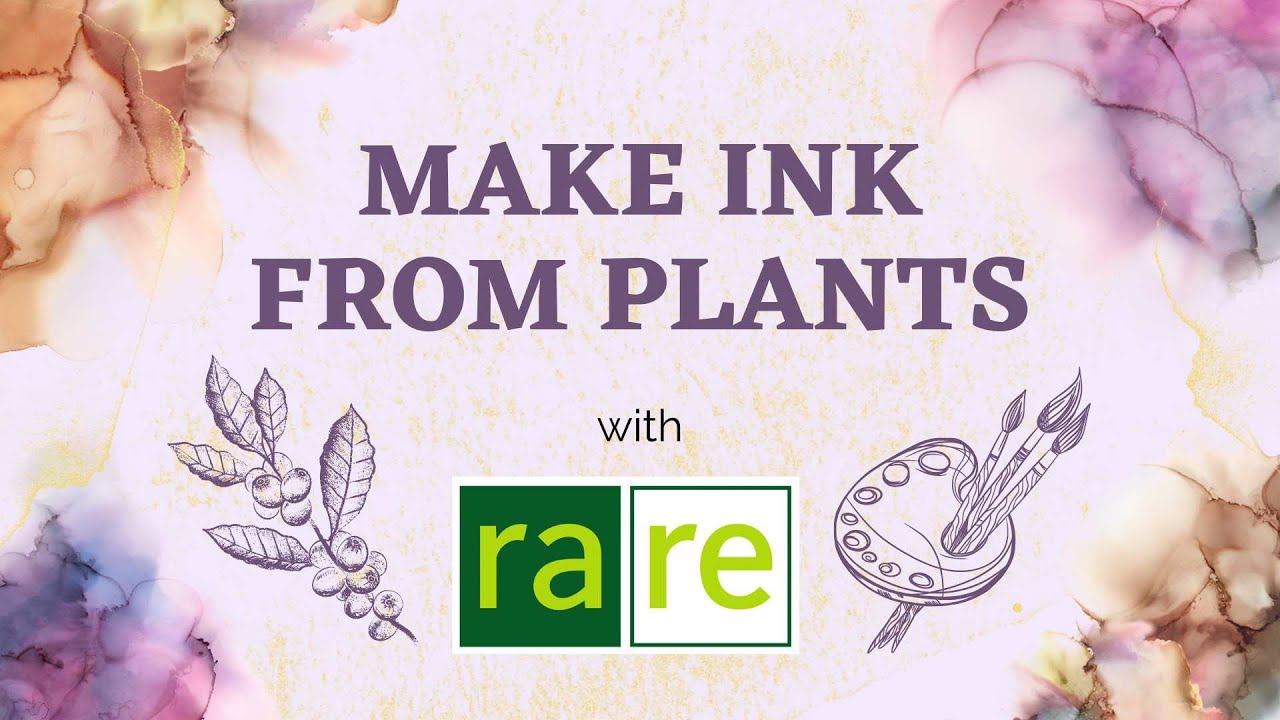 Nature Activity: Make Ink from Plants - YouTube