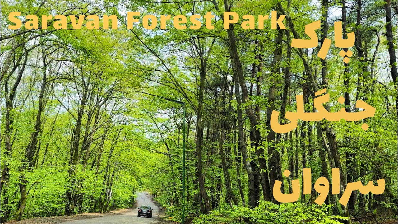 Saravan Forest Park,Jewel Sabz Gilanرفتی گیلان پارک جنگلی سراوان رو برای خوشگذرونی یک روزت ...