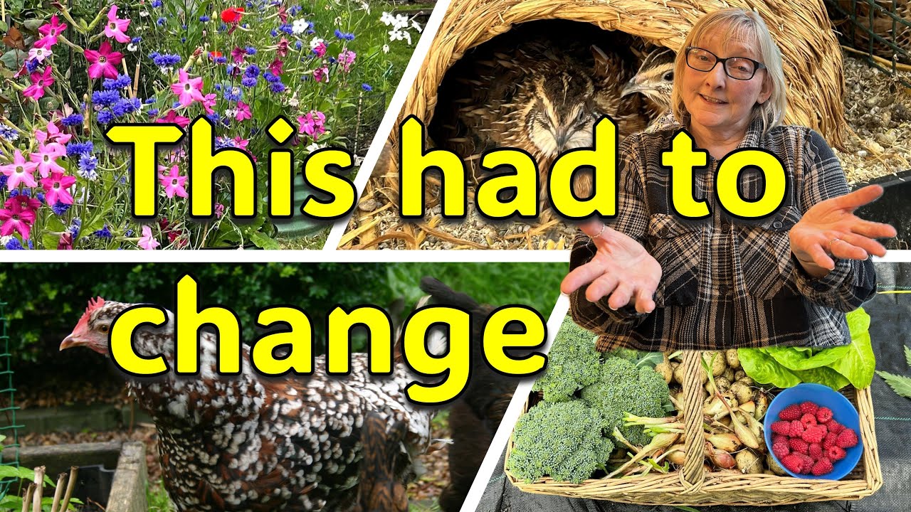 Channel refresh - making positive changes - YouTube