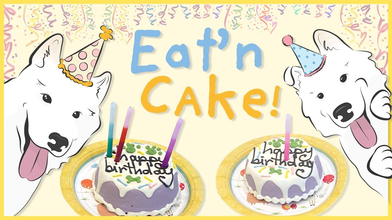 2 Samoyeds 2 Birthdays 2 Cakes...Two Floofs - YouTube