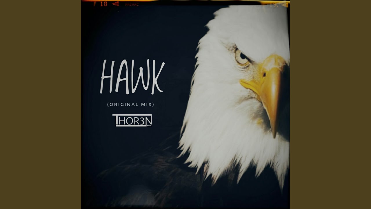 Hawk (Radio Edit) - YouTube