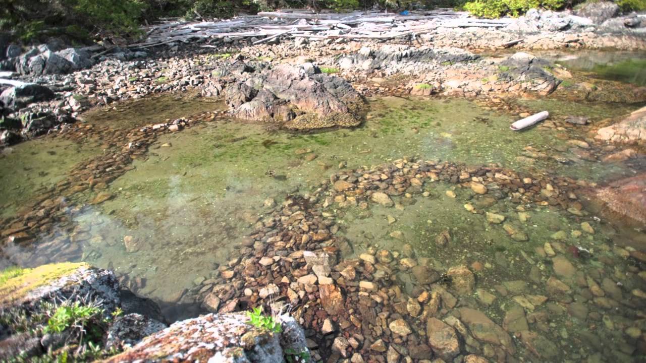Stone Fish Traps - YouTube