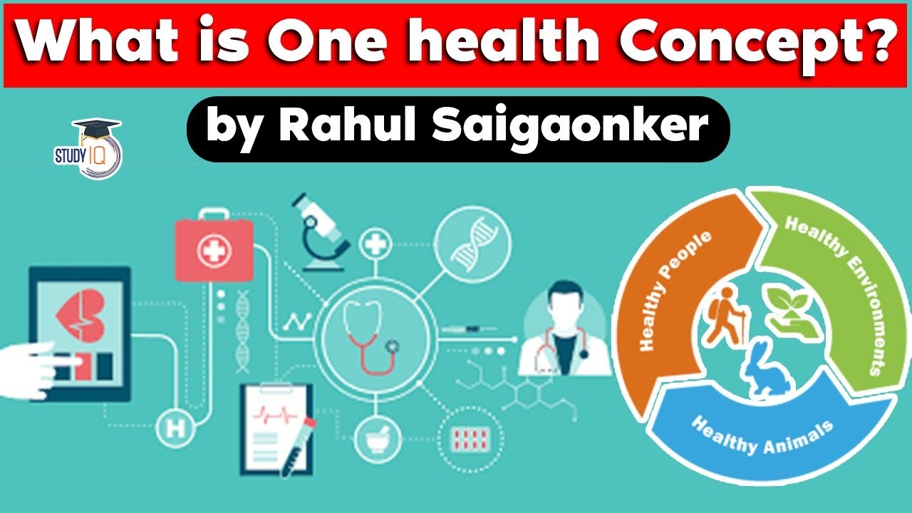 What is One health Concept, Why human health is linked to animal ...