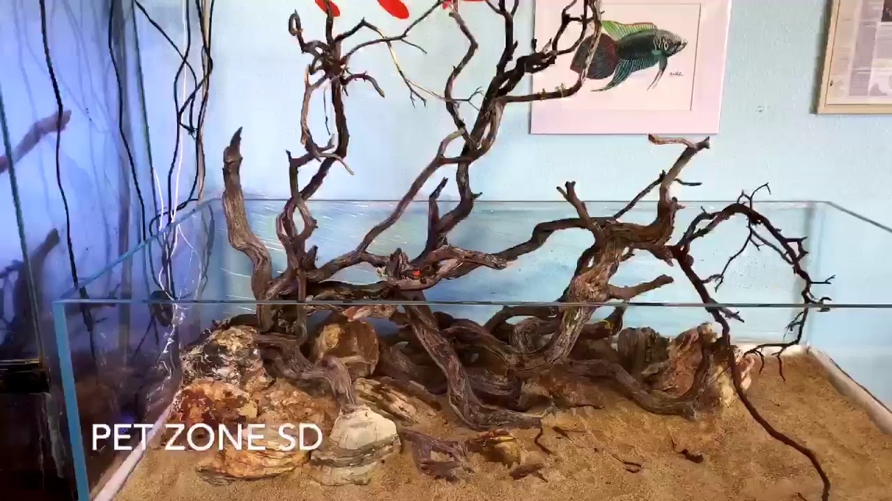 Shallow Aquascape Dry Scape Build - YouTube