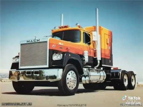 Chaqmoq makvindagi mashinalar             Real va multik