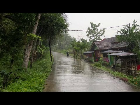 Heavy Rain in Edge of the Cliff Village | Rain Adds Cool Atmosphere ...
