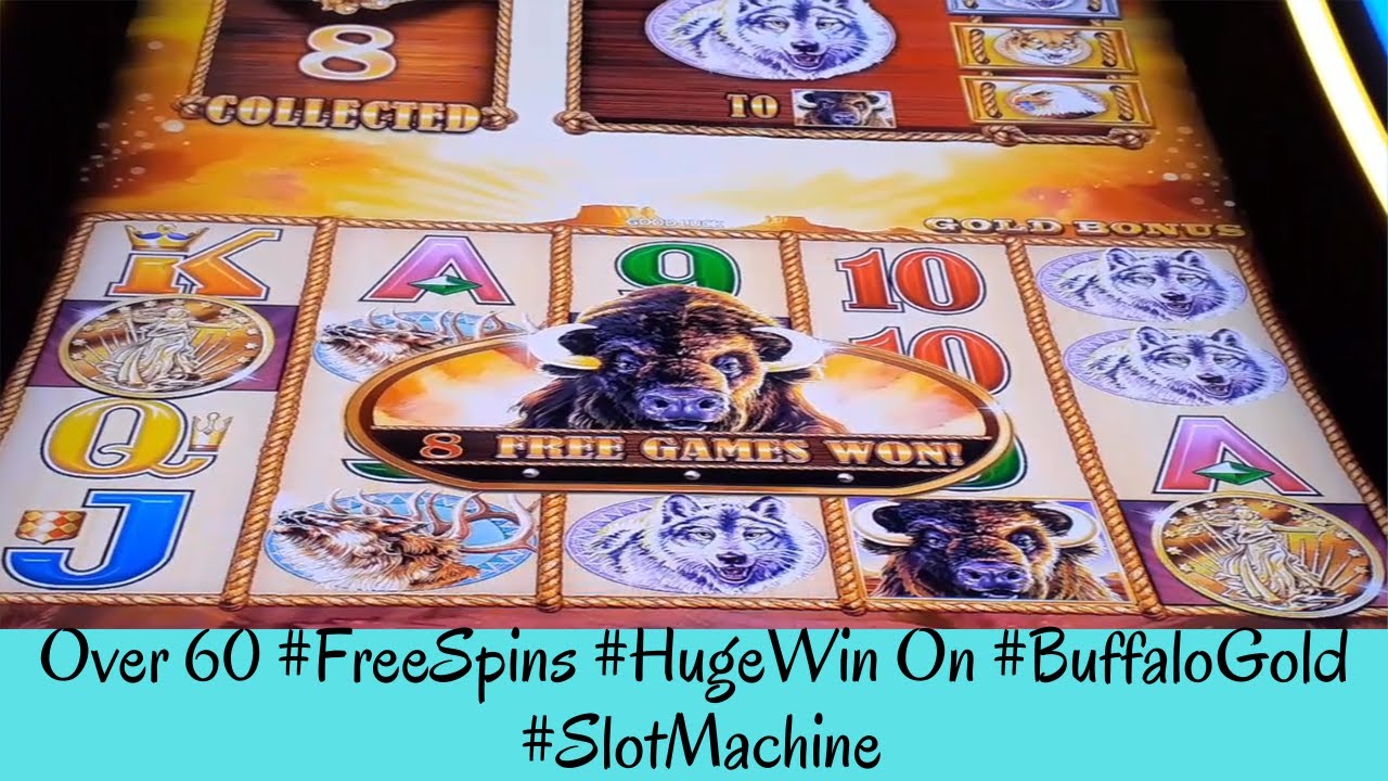 Over 60 Free Spins HUGE WIN On BUFFALO GOLD Slot Machine - SunFlower ...