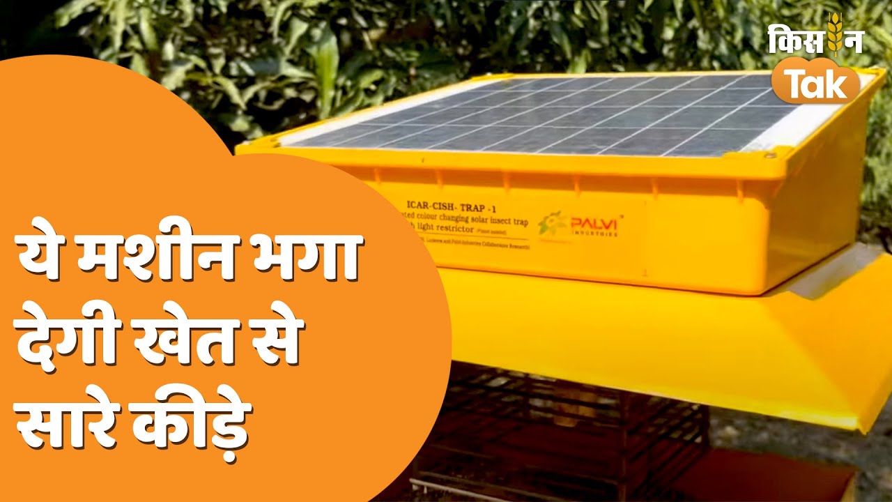 क्या है Solar Insect Trap Machine, खेती में कैसे करते हैं इसका प्रयोग ...
