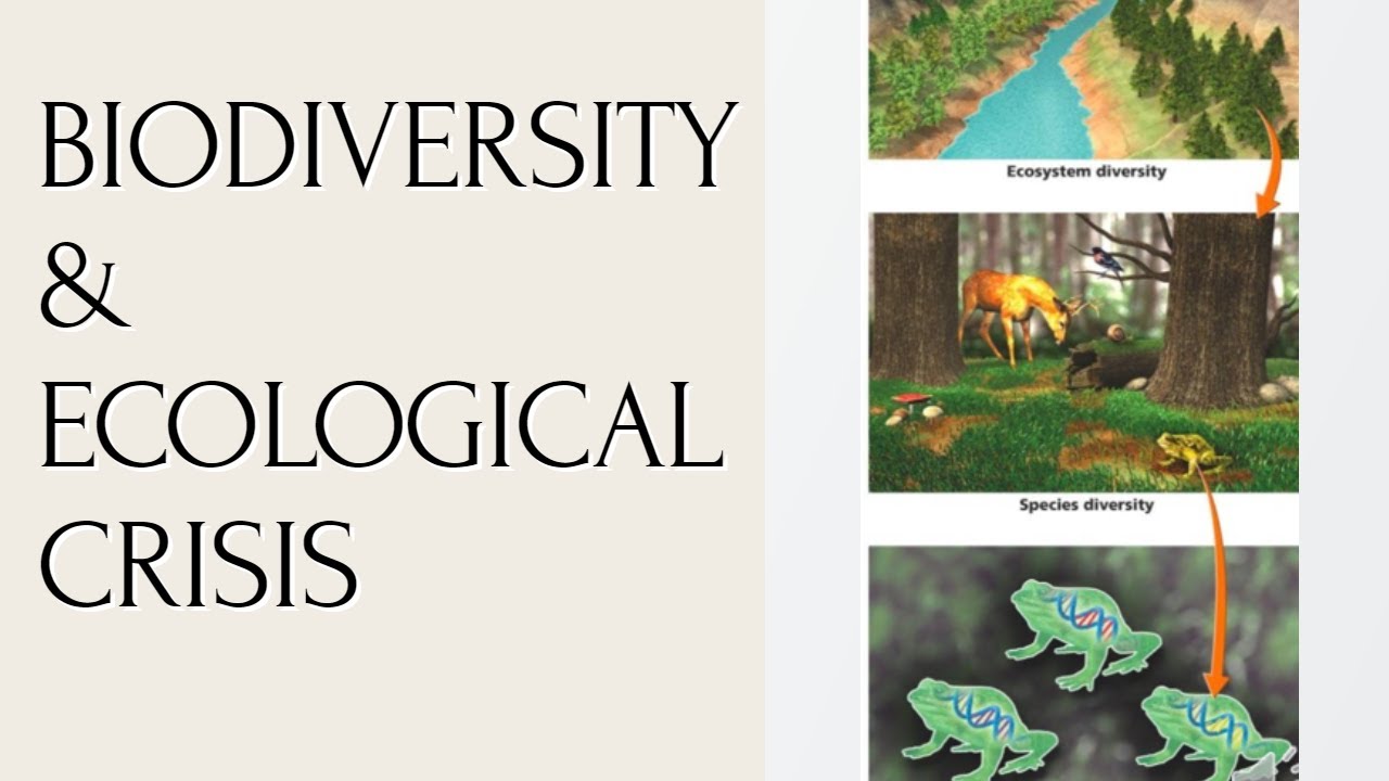 Biodiversity & Ecological Crisis| Explained| Environmental ...