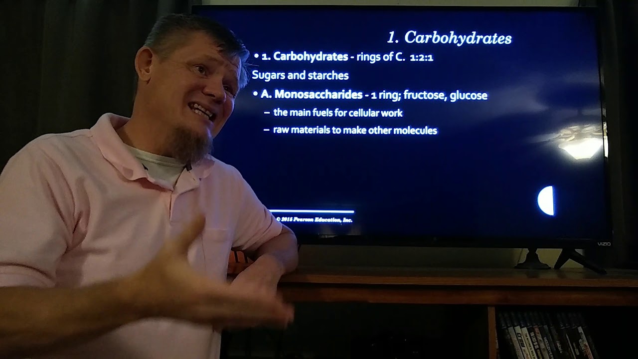 Chapter 3 part 2, Carbohydrates - YouTube