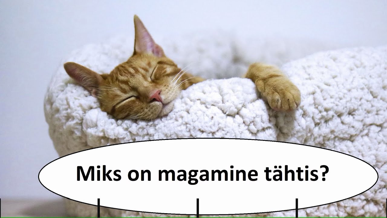 Miks on magamine tähtis - YouTube