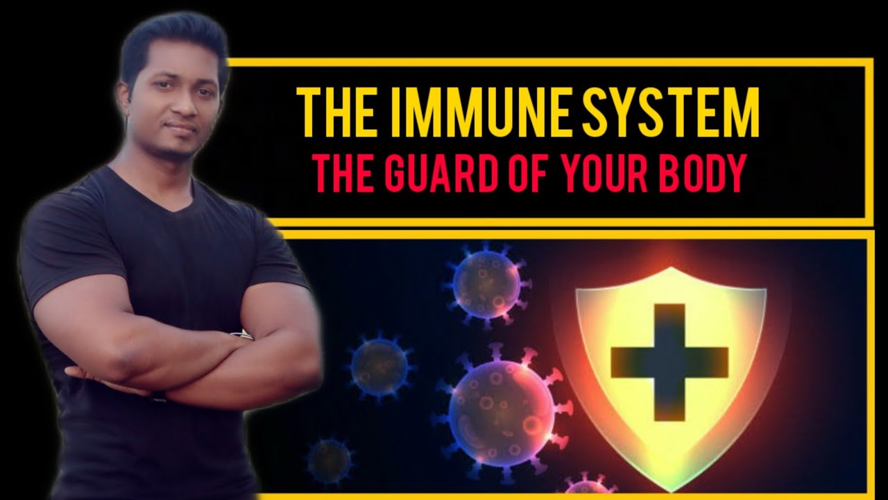 IMMUNE SYSTEM || The guard of your body || - YouTube