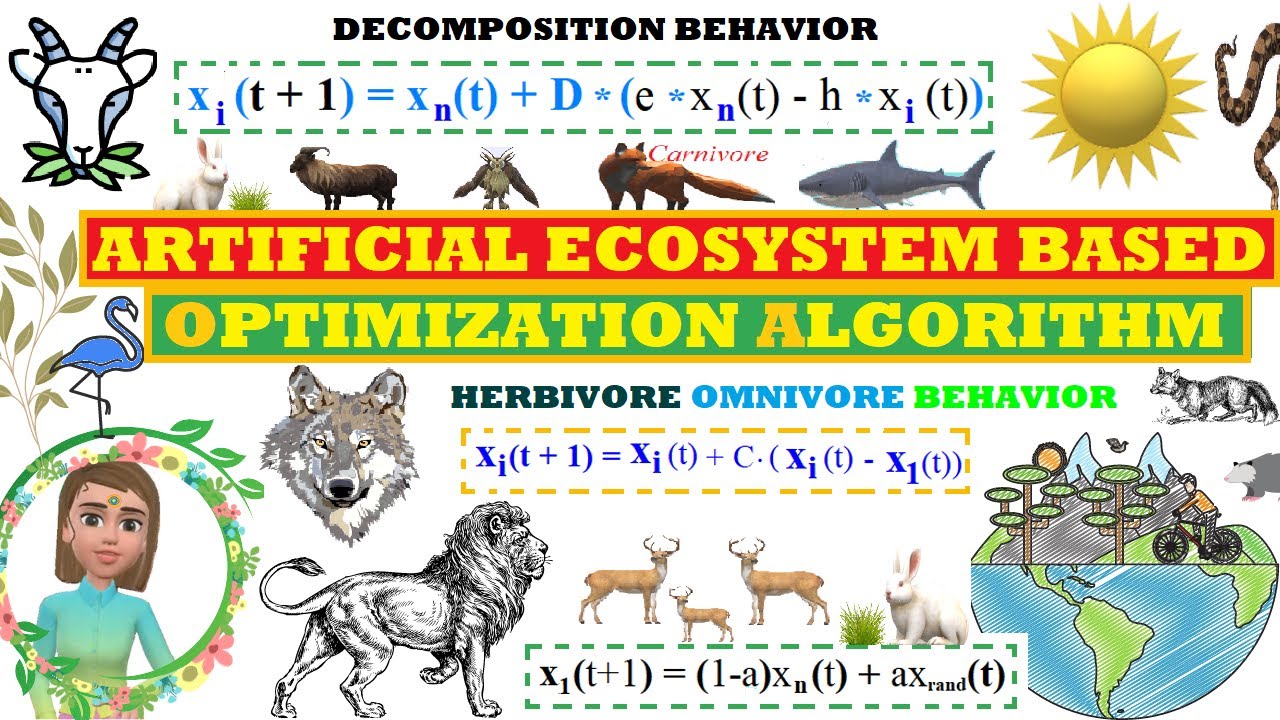 Artificial Ecosystem Based Optimization Algorithm Step By Step ~xray Pixy Youtube