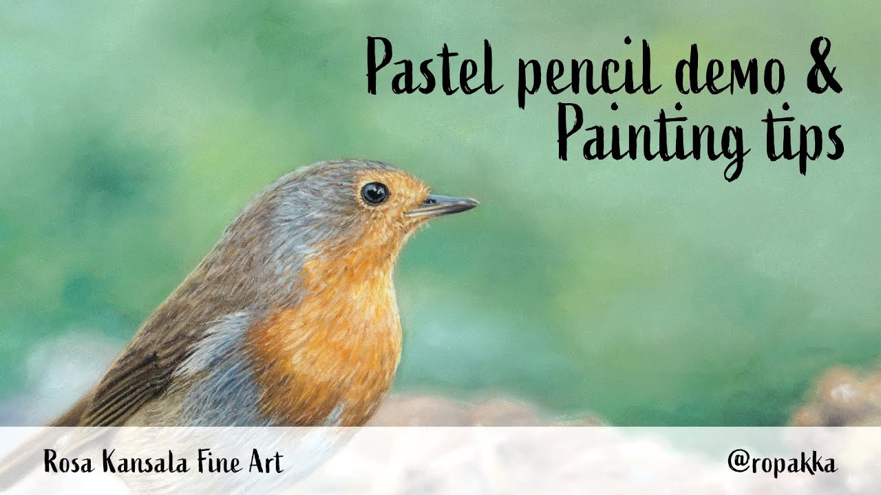 Painting a realistic European robin with pastel pencils and PanPastels ...