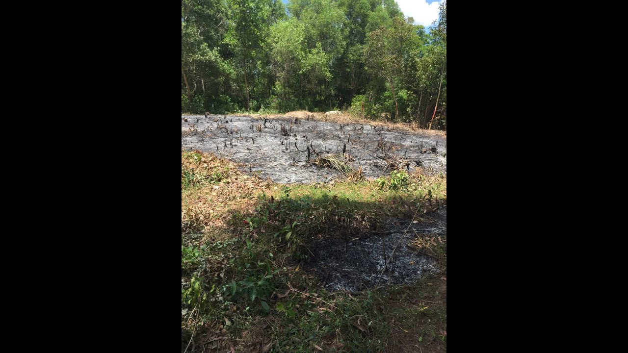 Ngày 04 09 2024 - YouTube