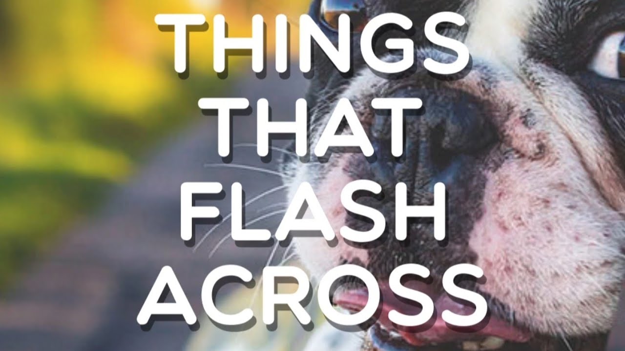 Level 1066, Things that flash across, Word Crush Answers, FullHD 60 fps ...