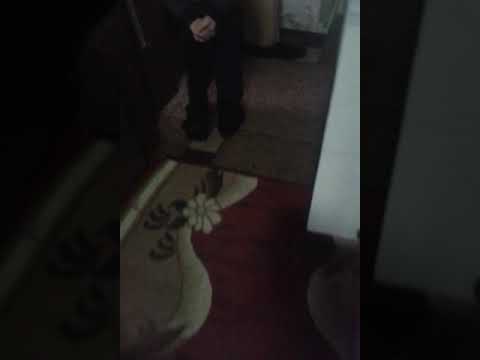 Gggghhhhhhhh(4) - YouTube