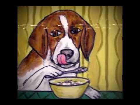 El Perro Que Come Cereal Con Cuchara (Creepypasta) - YouTube