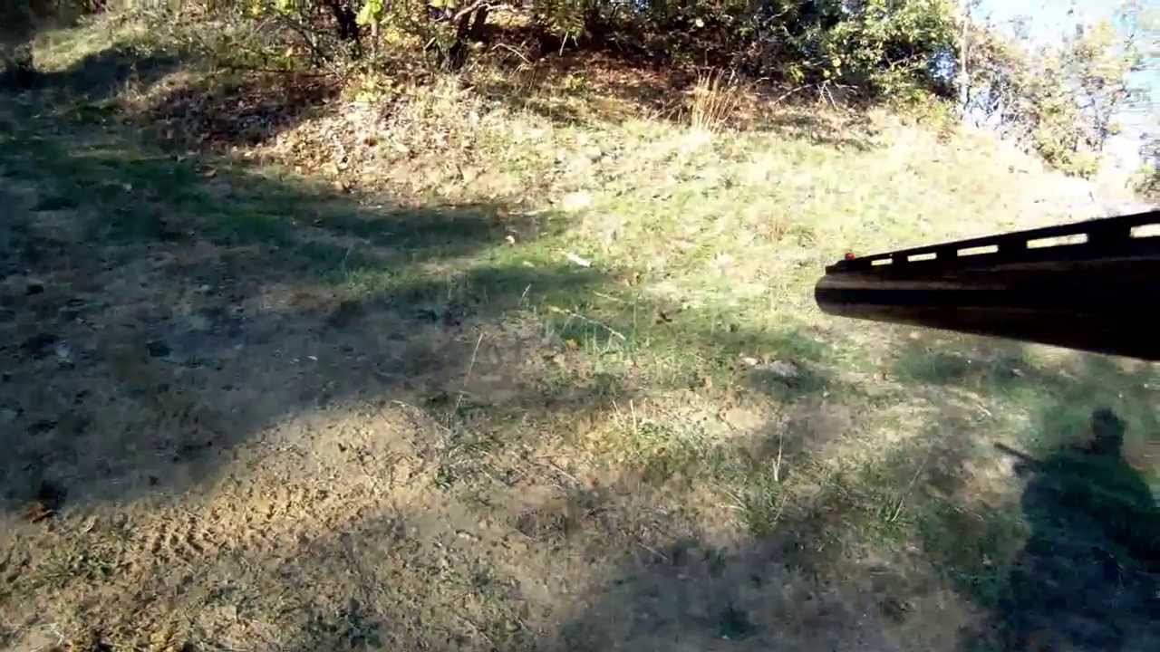 ΖΑΡΚΑΔΙ ΣΤΟ ΚΑΡΤΕΡΙ ΓΙΑ ΛΑΓΟ 2013 - YouTube