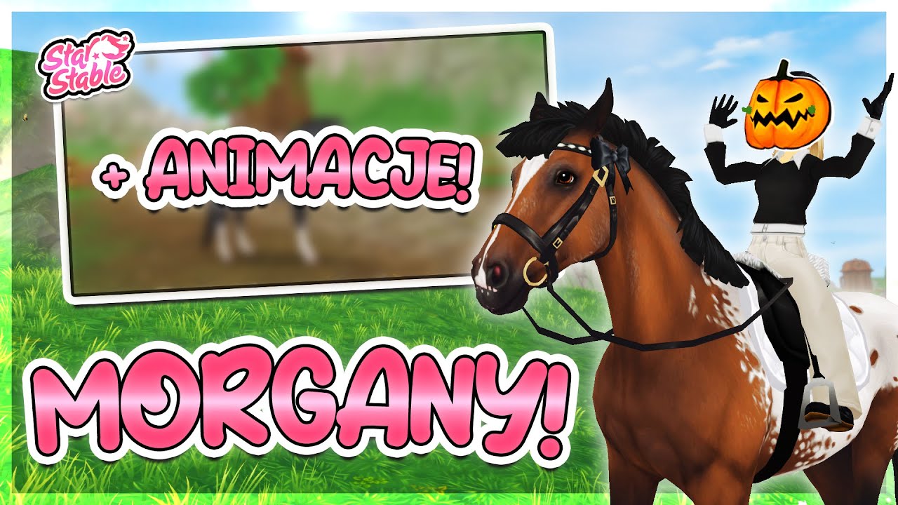 NOWE MORGANY 3 GENERACJI JUŻ NIEDŁUGO! *ANIMACJE, MAŚCI ORAZ NOWE ...