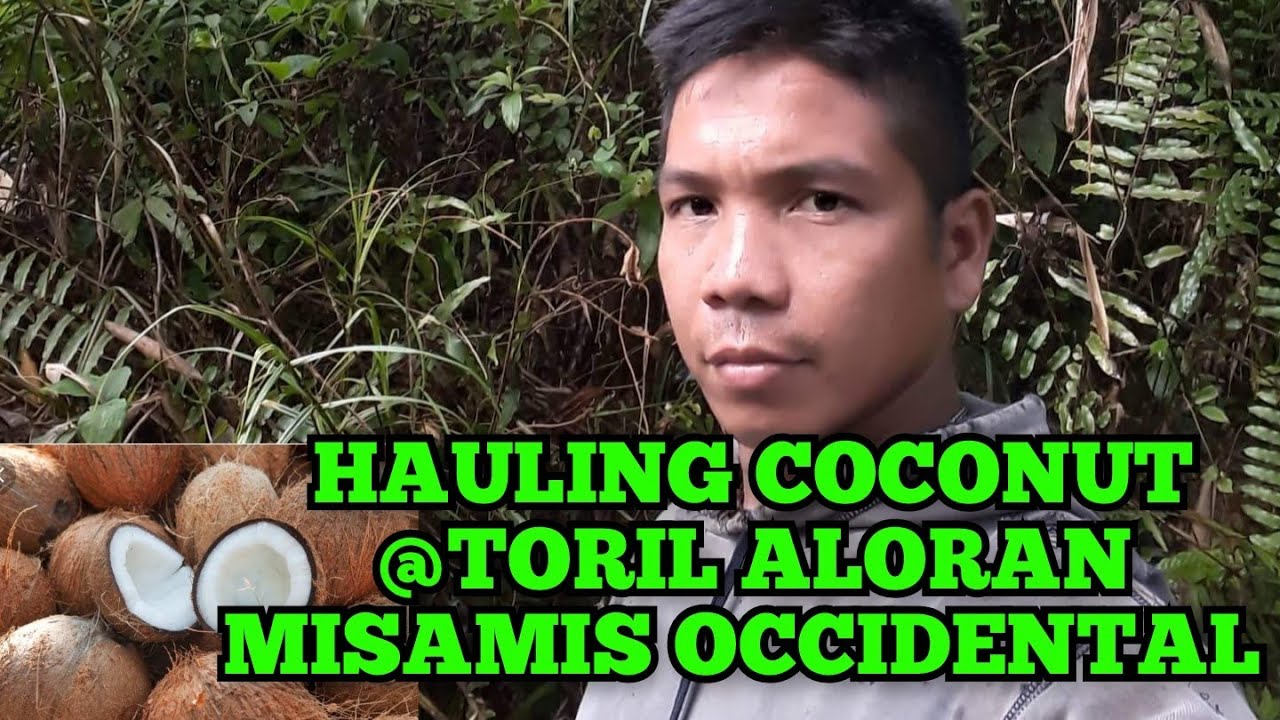 Hauling COCONUT@TORIL ALORAN MISAMIS OCCIDENTAL! - YouTube
