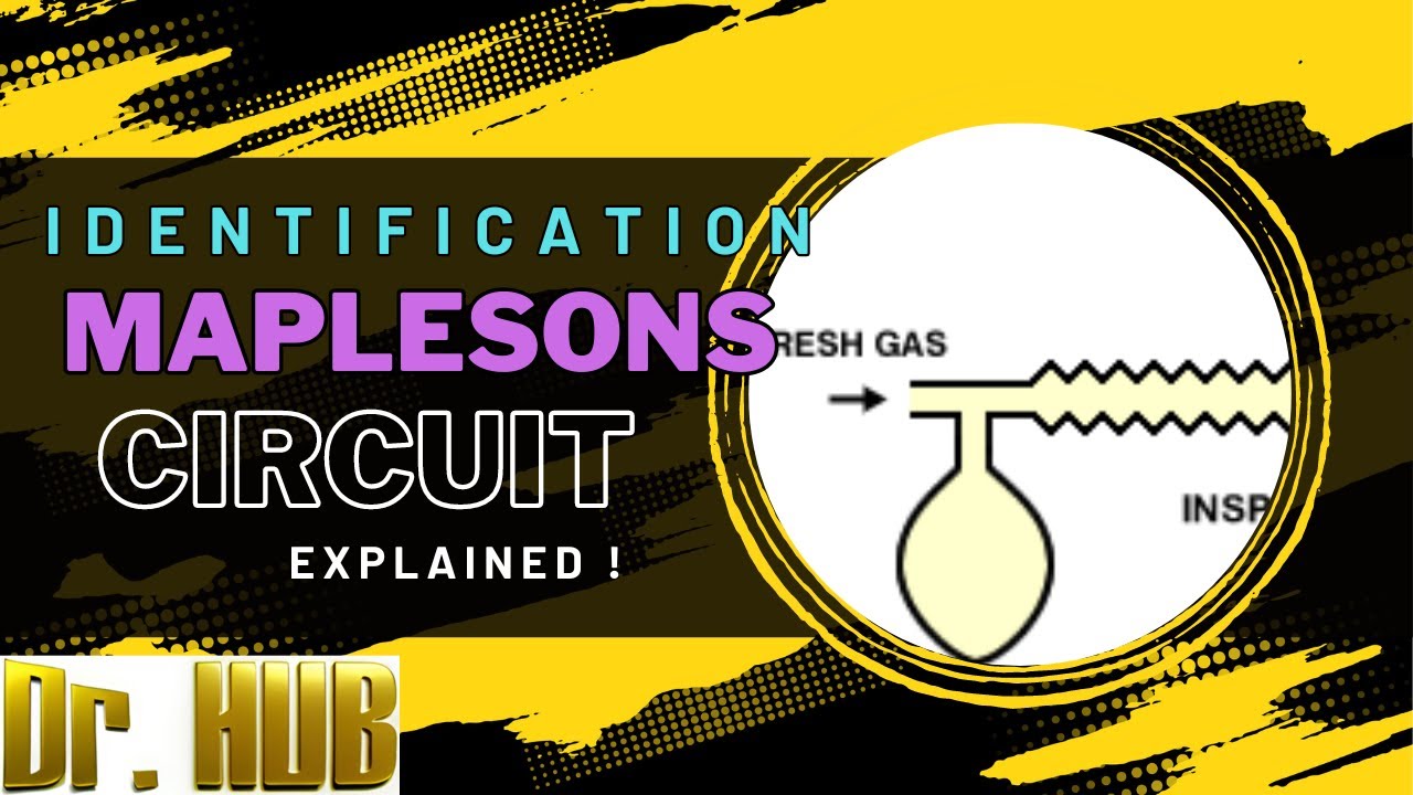 Identification of maplesons circuit - YouTube