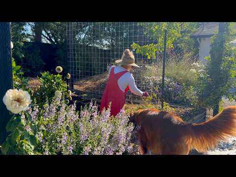 Spider Mites Took Over My Garden... Here's What I Did 🕷️🌿