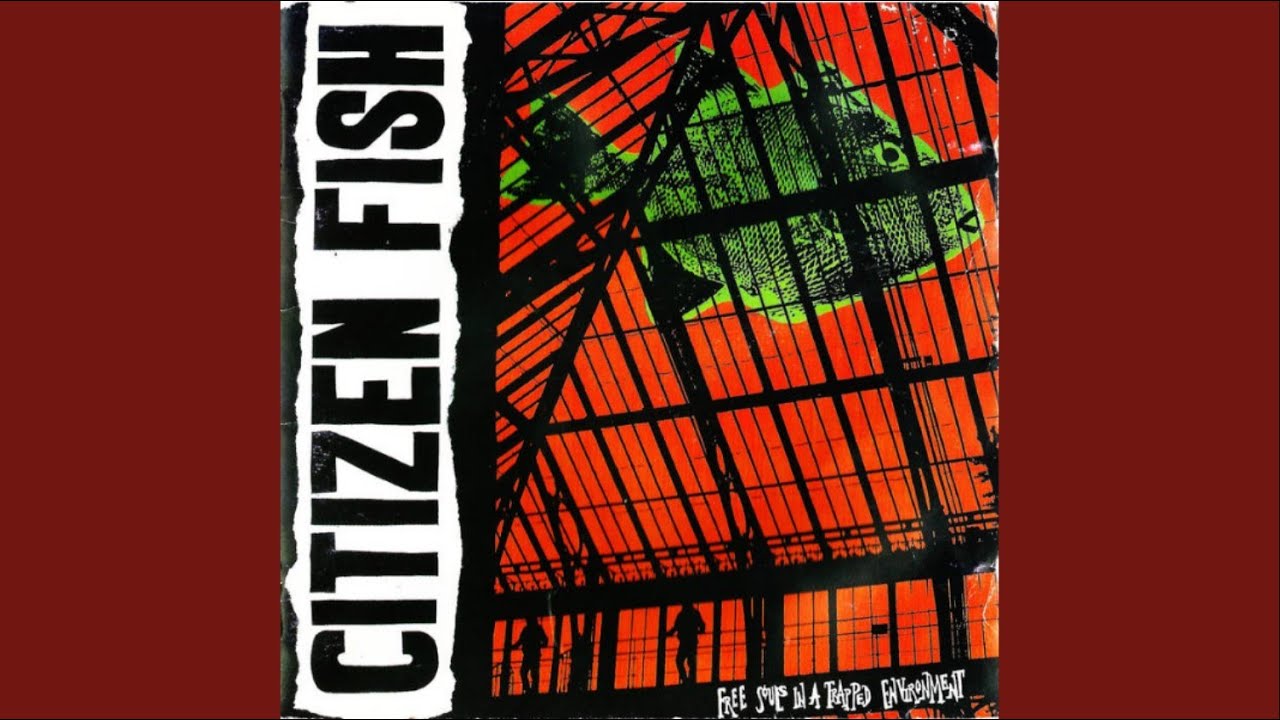 Citizen Fish - Supermarket Song - YouTube