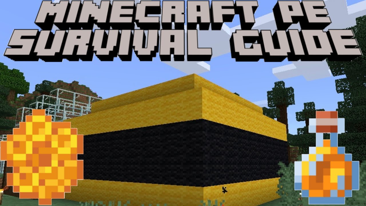 Complete Bee Guide, Auto Honey Bottle And Honeycomb Farm: The Minecraft ...