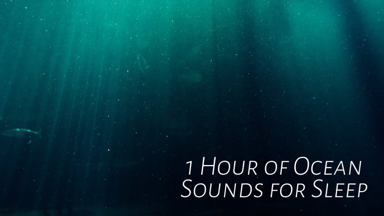 Underwater Deep Sea Ambience- 1 Hour of Water Sounds for Sleep and ...