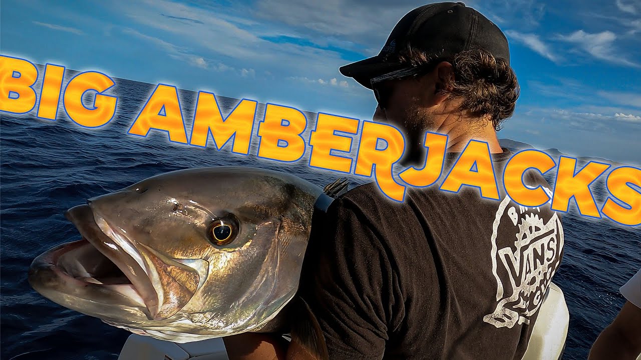 Big Amberjacks in Mallorca with live bait - YouTube