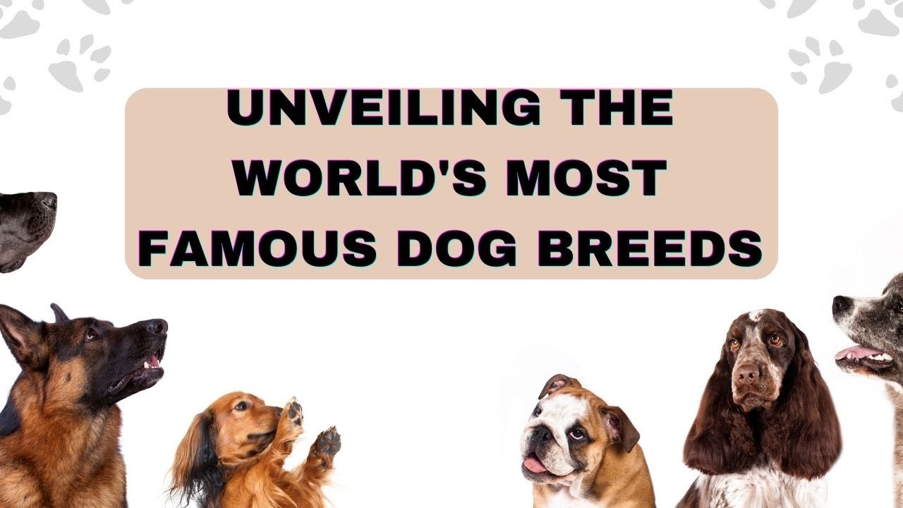 Unveiling the World's Most Famous Dog Breeds - YouTube