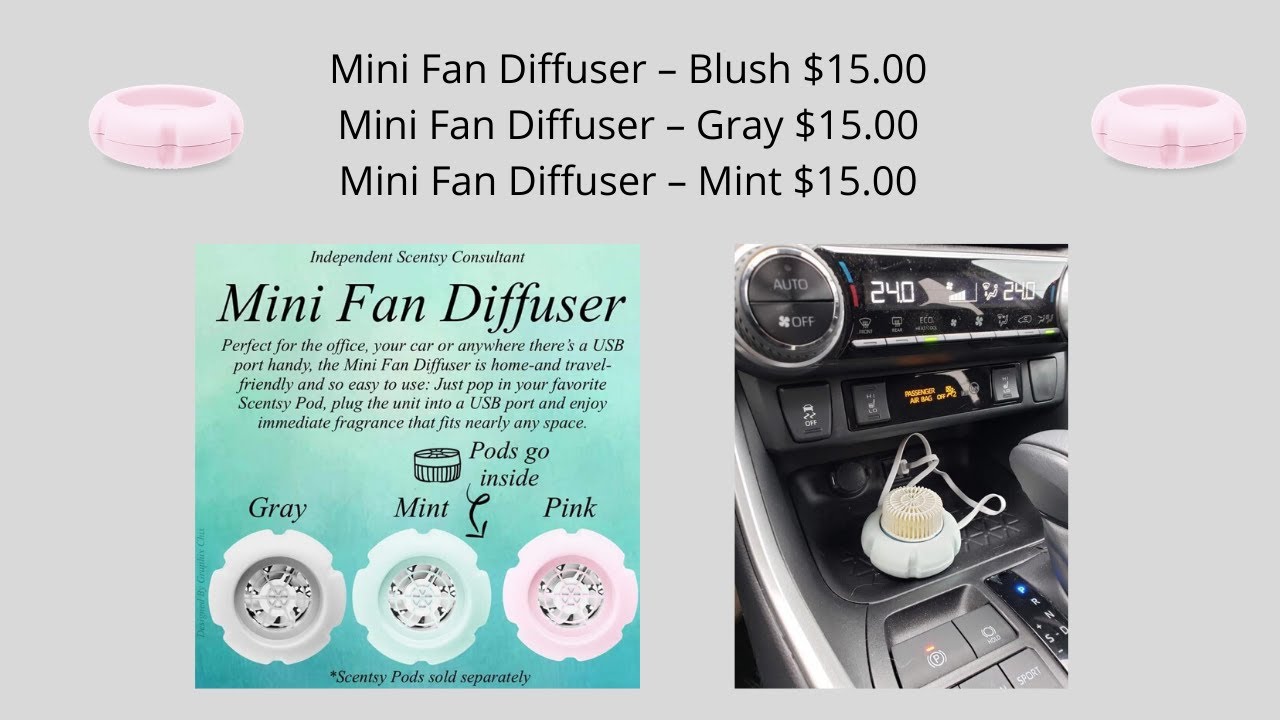 Mini Diffuser $15.00 - YouTube