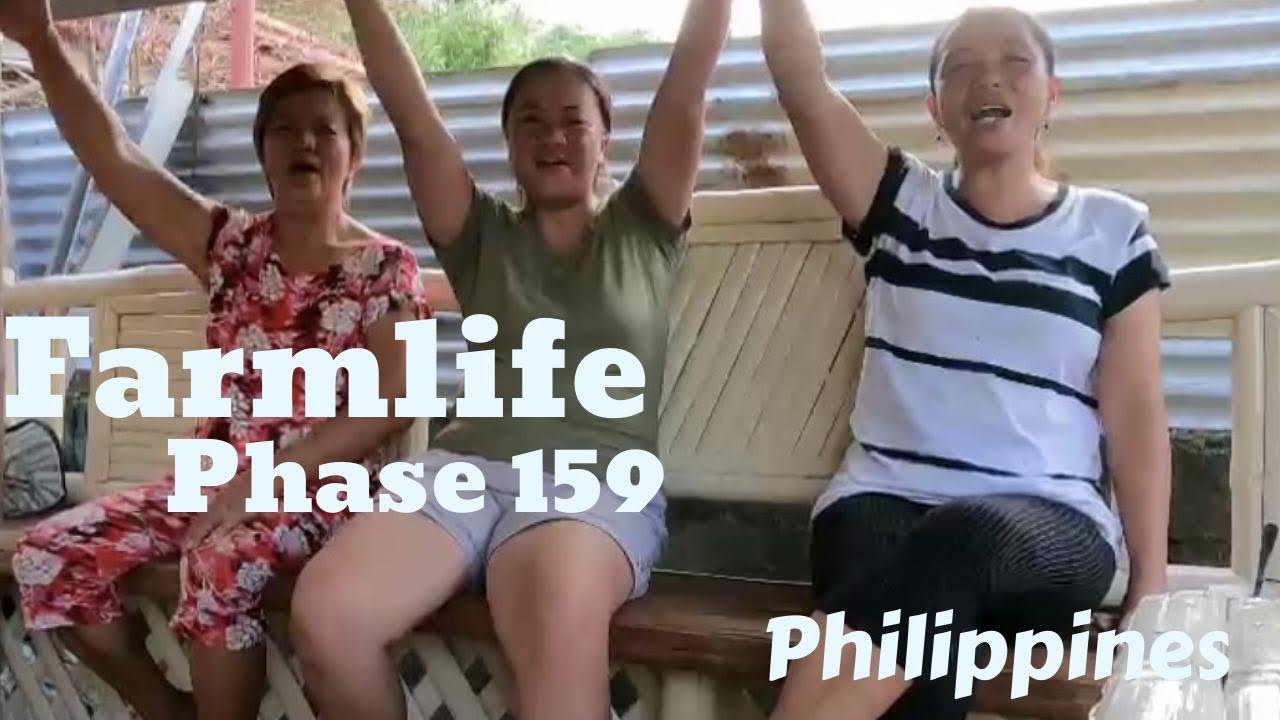 Farmlife Phase 159 - Farmlife Game Participants Feedbacks - YouTube