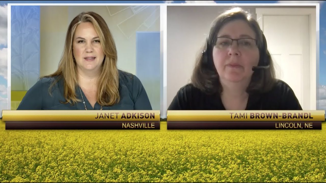 On RFD-TV: Tami Brown Brandl - YouTube