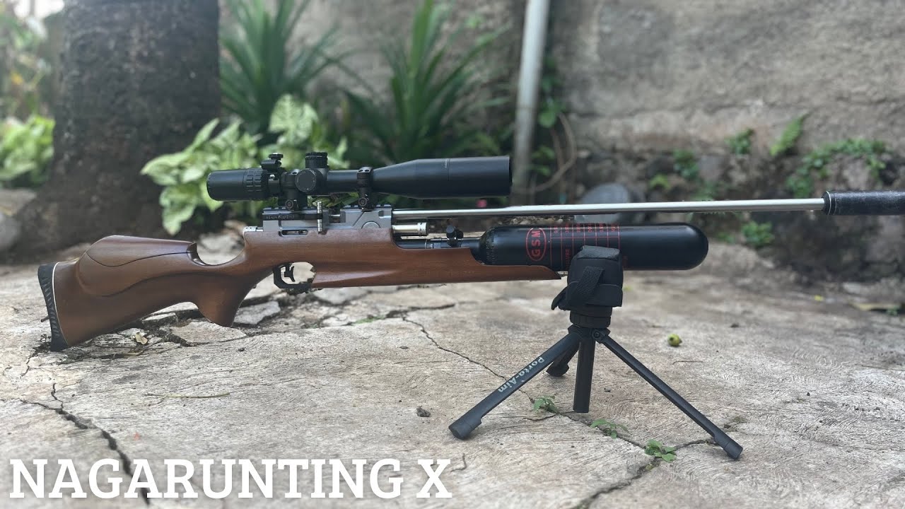 CHAMBER NAGA RUNTING ‼️ TERBARU - YouTube
