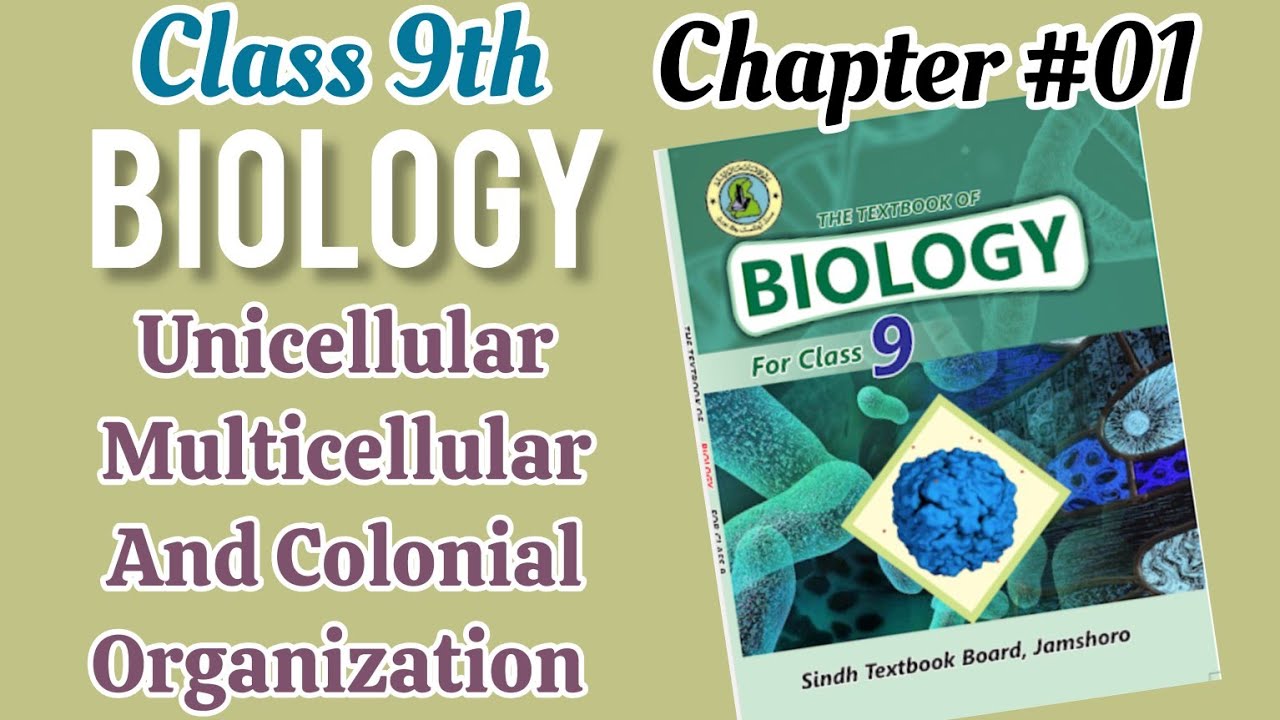 Unicellular Organization|Multicellular Organization|Colonial ...