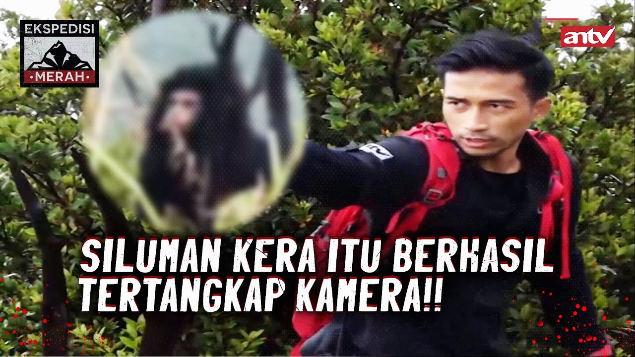 Bayu Lihat Sosok Siluman Kera!! | Ekspedisi Merah Eps 39 (2/4) - YouTube