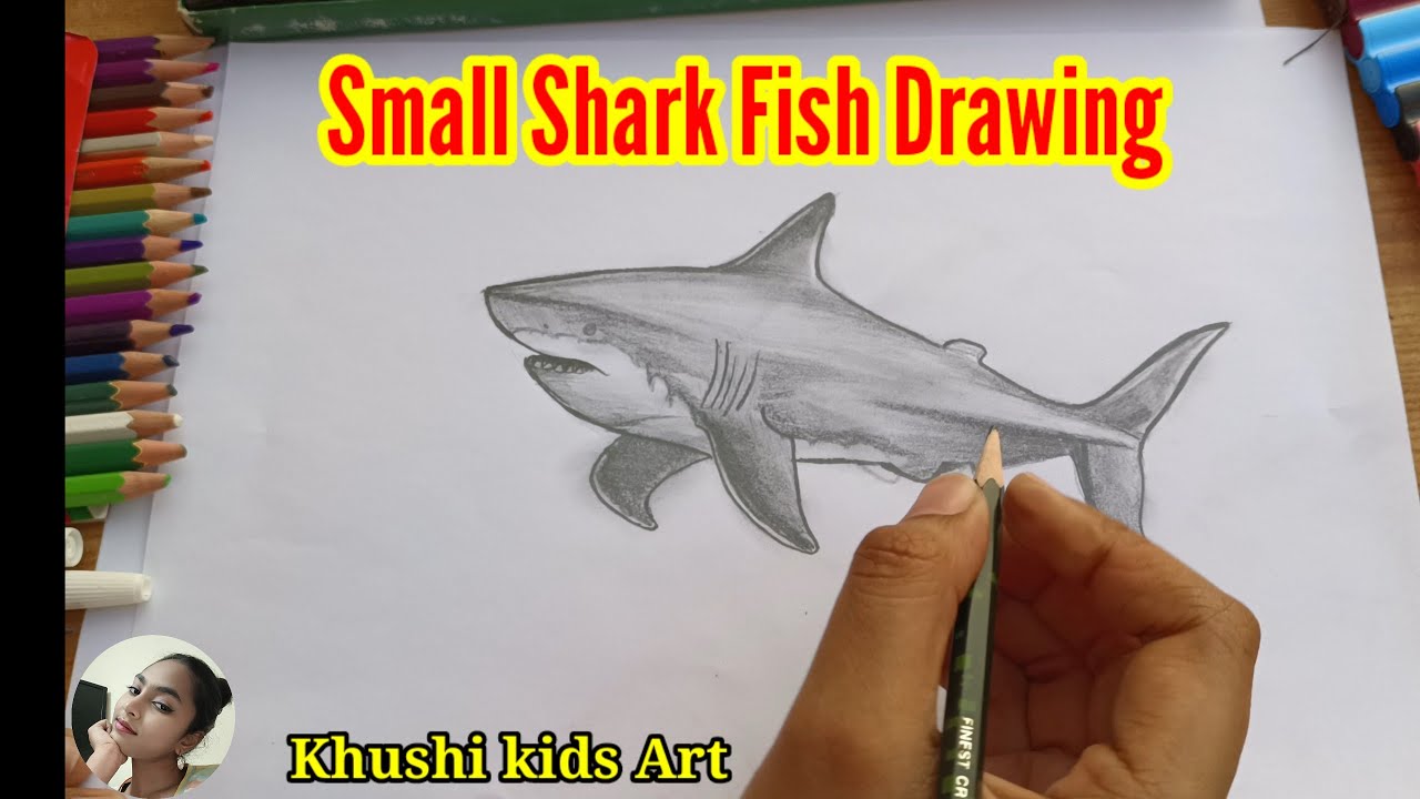 How to draw Shark fish step by step | Shark fish drawing video | Shark ...