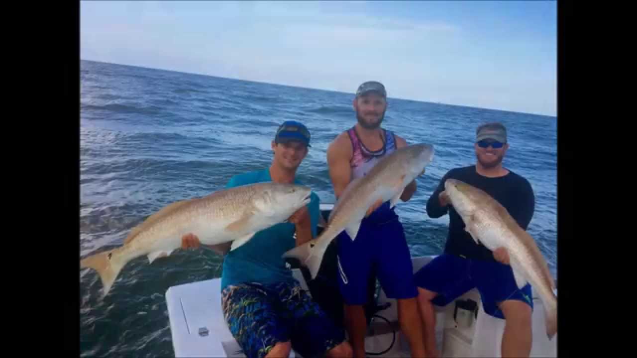 Catching Redfish Underwater Video - YouTube
