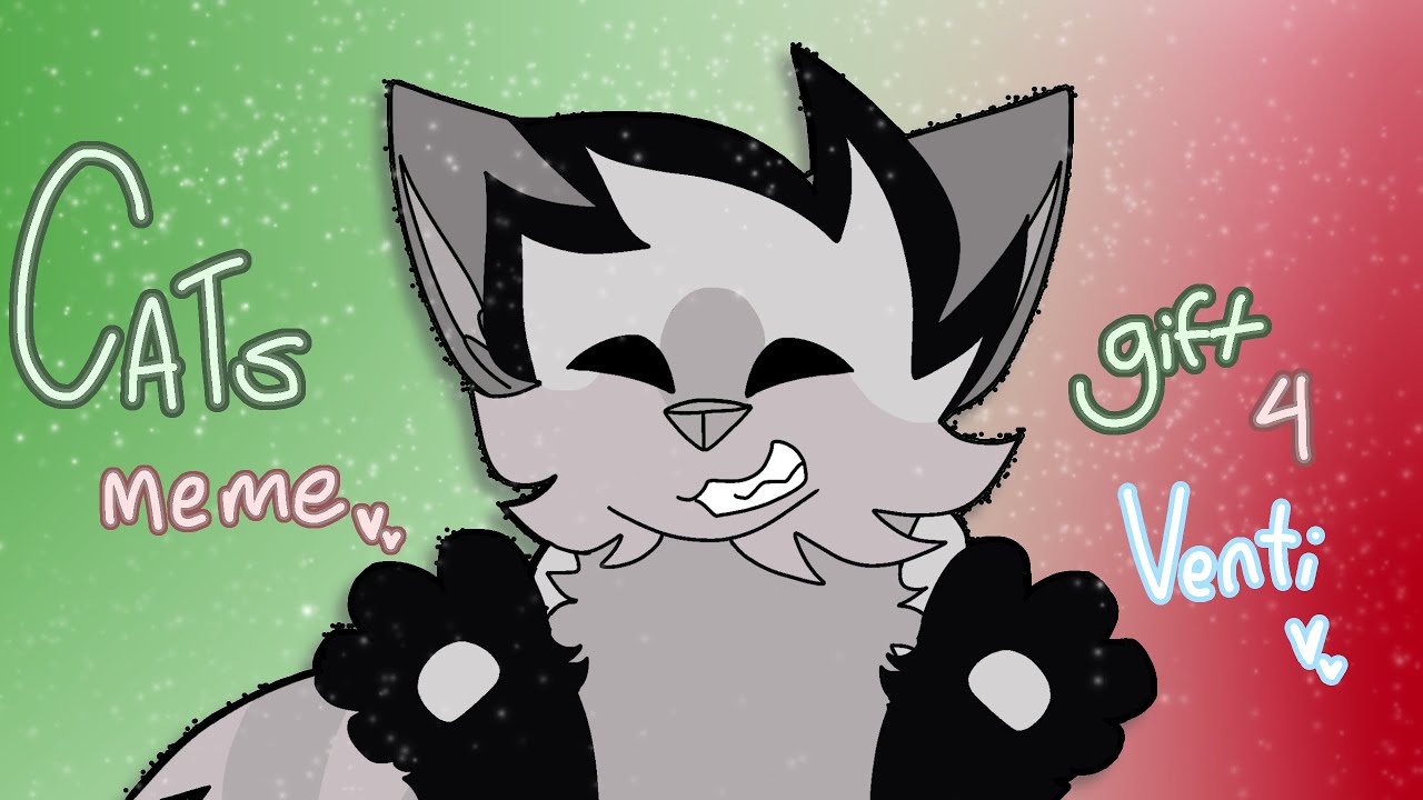 Cats meme gift collab - YouTube