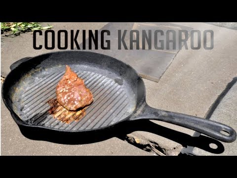Cooking Kangaroo using only the Australian Sun!