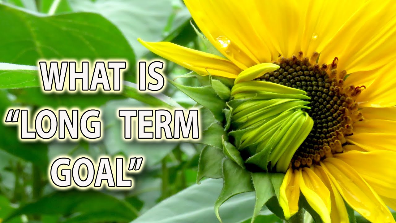 WHAT IS A LONG TERM GOAL YouTube what-is-a-long-term-goal-youtube