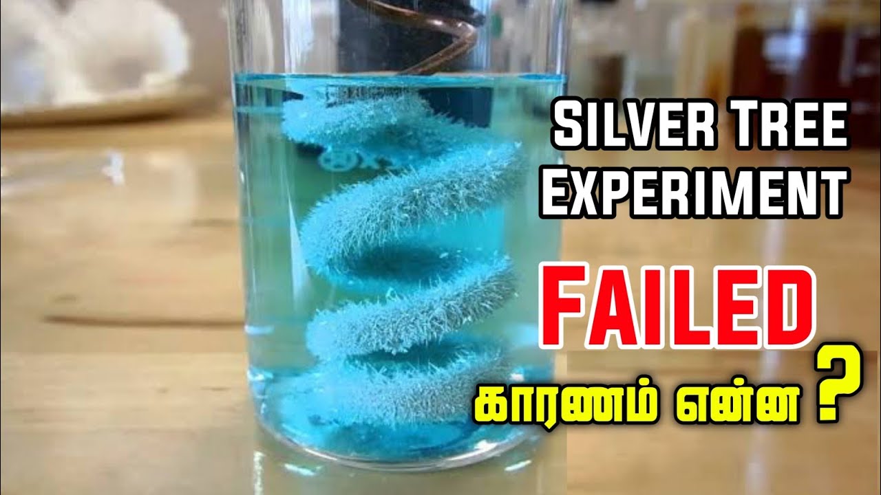 Silver Tree Experiment Failed #tamilchemistry #shorts - YouTube