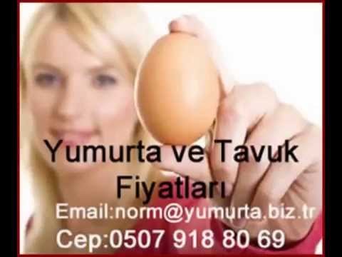 Toptan Tavuk Fiyatları, Toptan Yumurta Fiyatları www.pilic.biz.tr