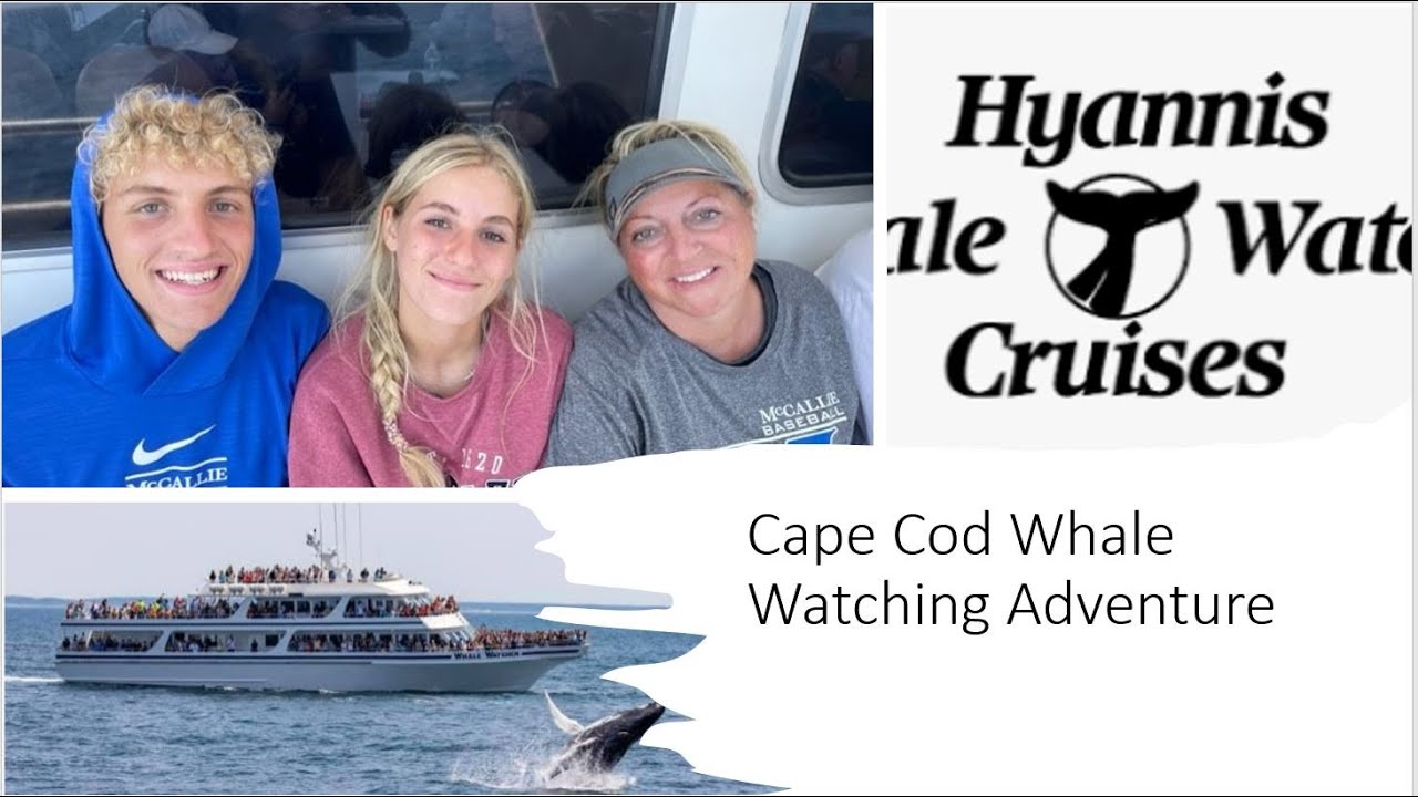 Cape Cod Whale Watching Tour - YouTube